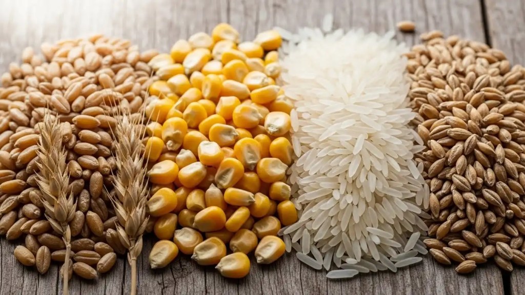 How Long Does Grain Last? Guide to Storage & Shelf Life